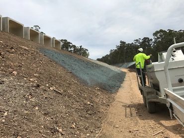 Gallery | Pearce Cameron