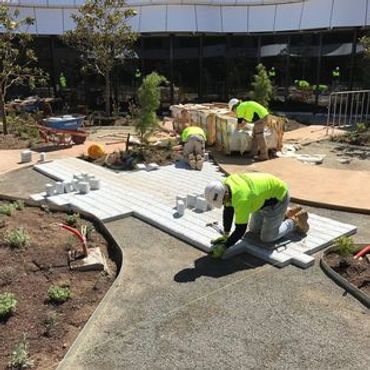 Gallery | Pearce Cameron