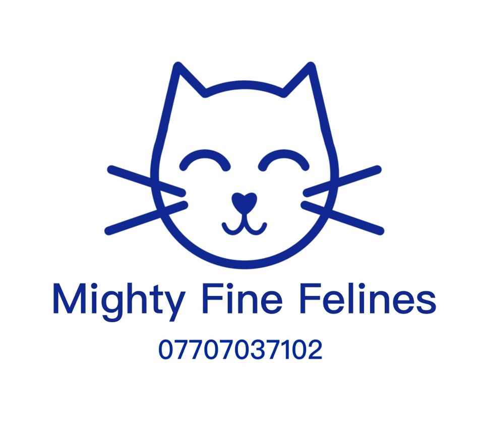 Mighty Fine Felines - Mobile Cat Grooming - Exeter, England