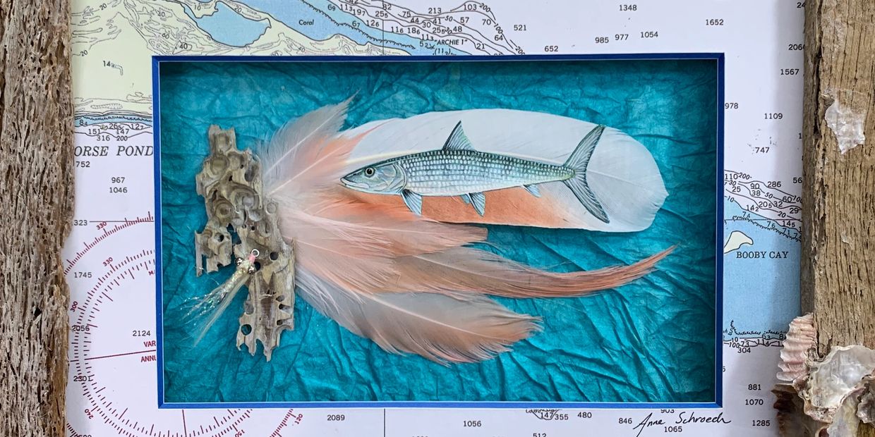 Anne’s Feather Painting - Wildlife Paintings - Fort Myers, Florida