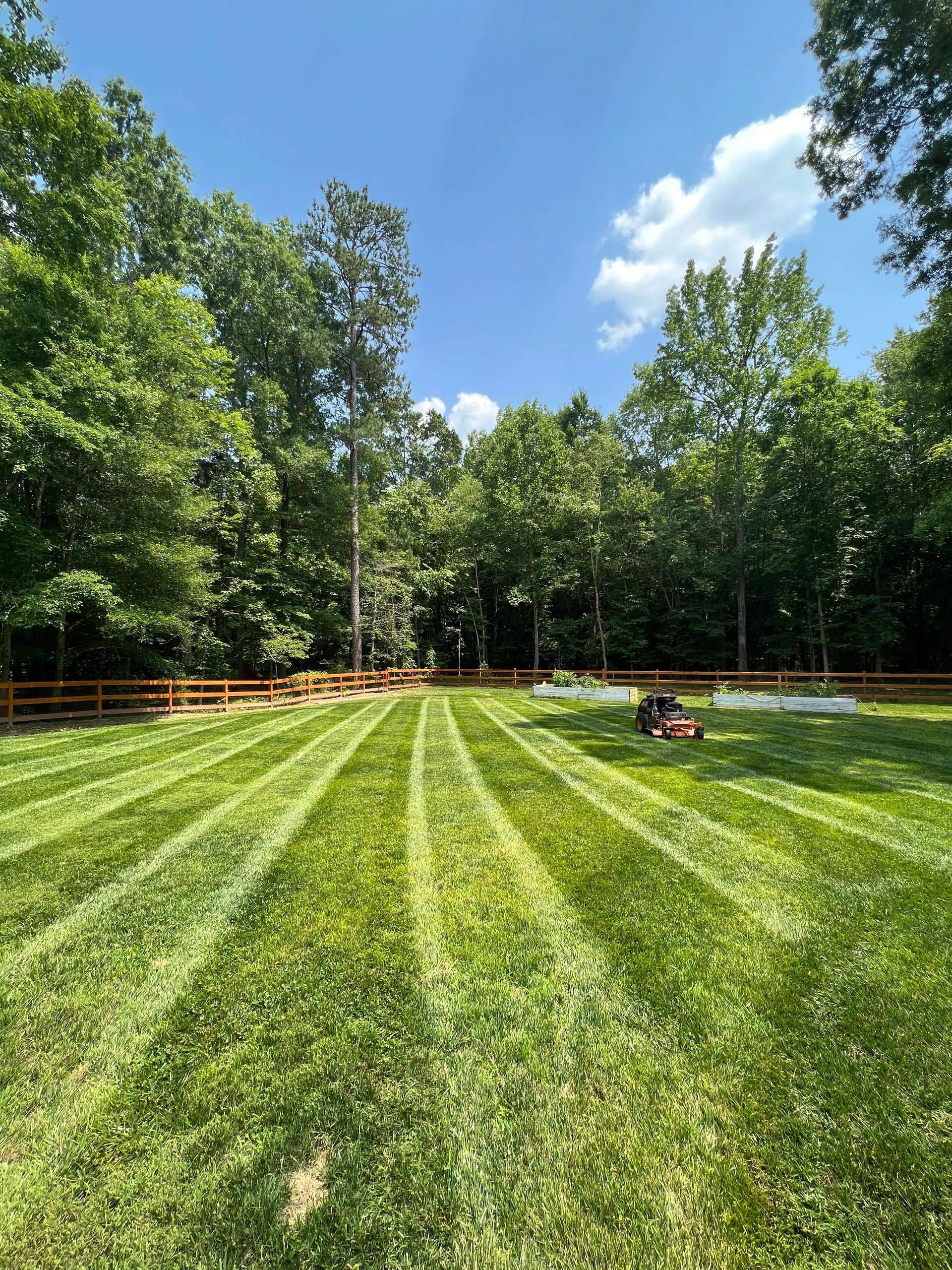 Professional Lawn Care and Landscaping Services | TX3 Lawn & Landscaping