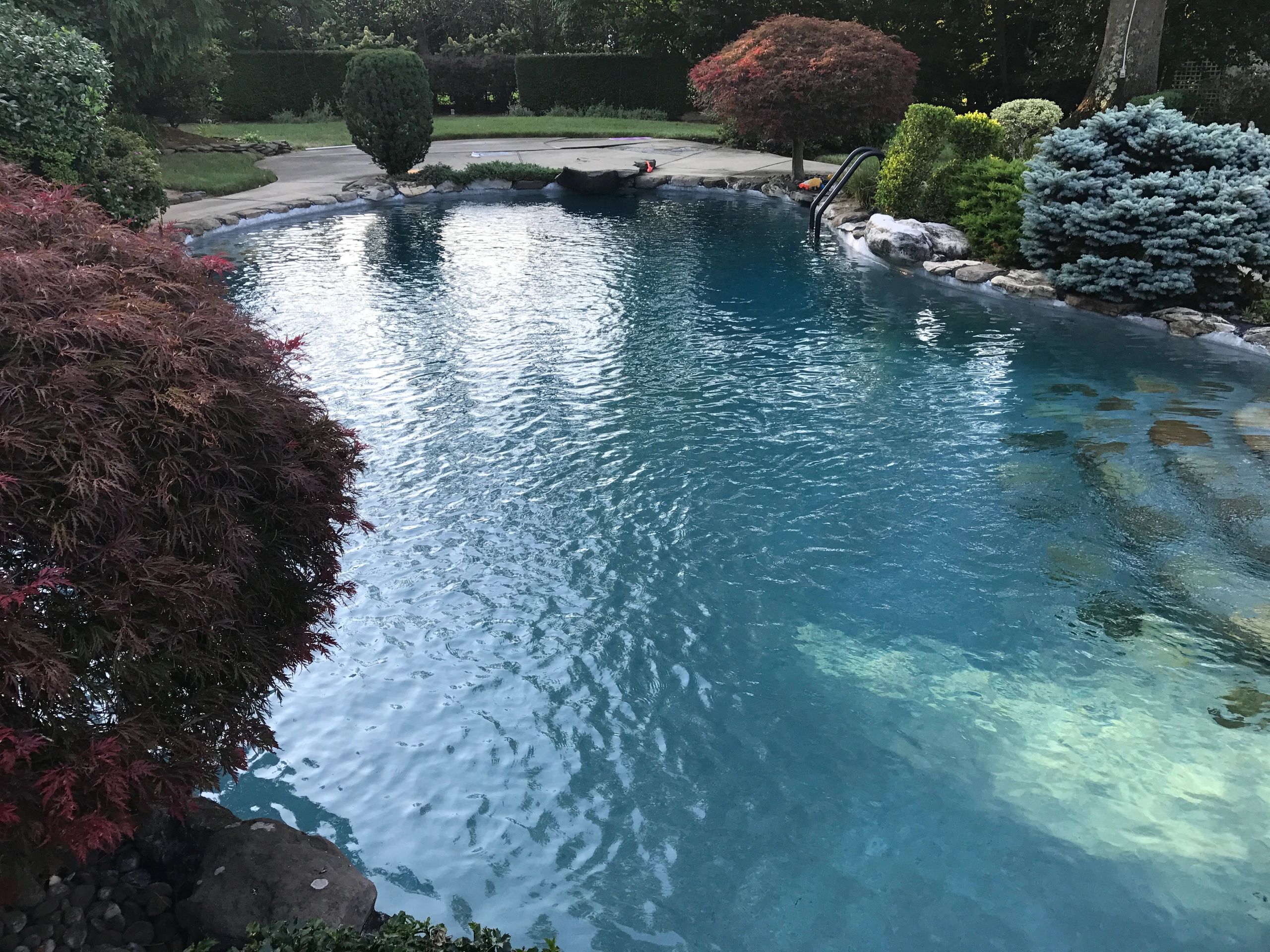 Pool Service - Atlantic Pool Pros LLC