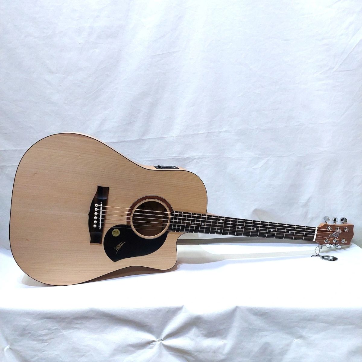 Maton SRS60C Acoustic Guitar + Pickup + Hard Case