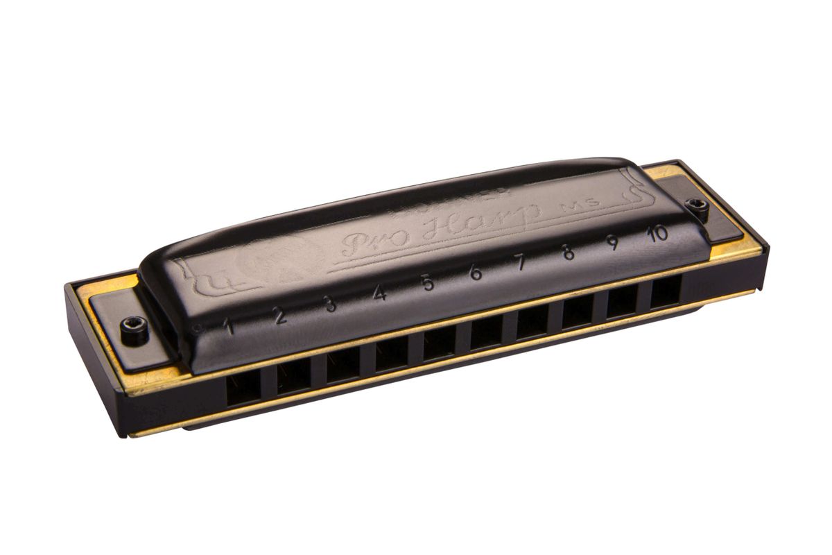 HOHNER Pro Harp - 10 - Hole Diatonic Harmonica