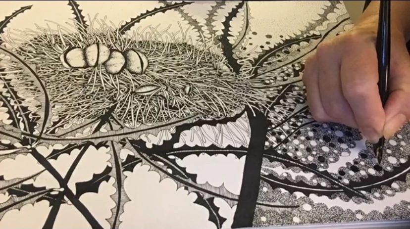 BOTANICAL INK DRAWING/PAINTING FOR BEGINNERS - All Materials Provided ...