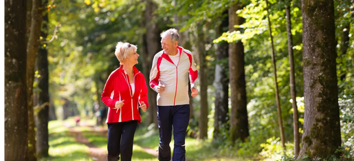 Personal Training Dynamic Training