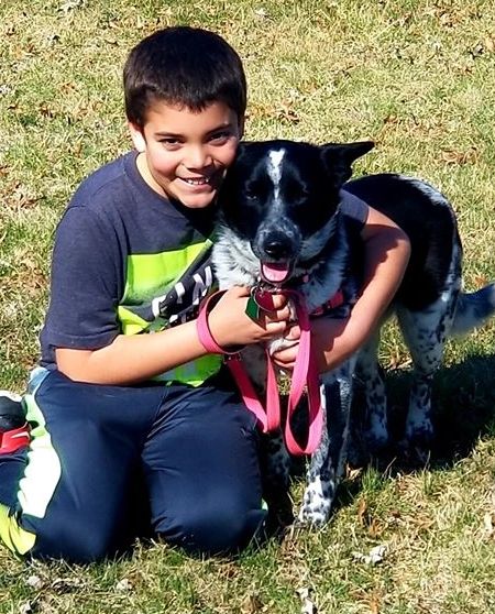 Kids and Dog Summer Camp