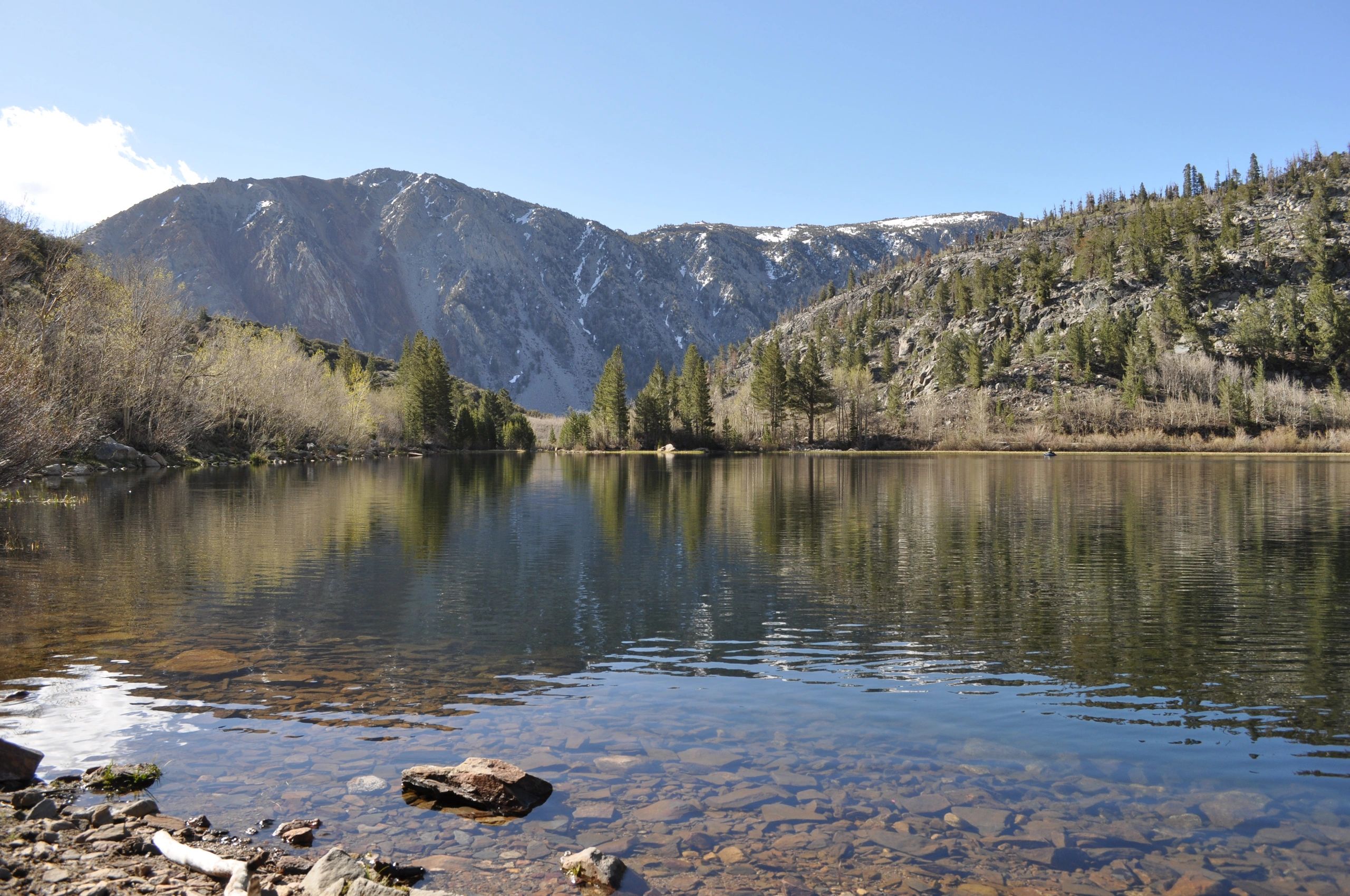 Nature Connect - Link to the Wild, Conservation Education, Education ...