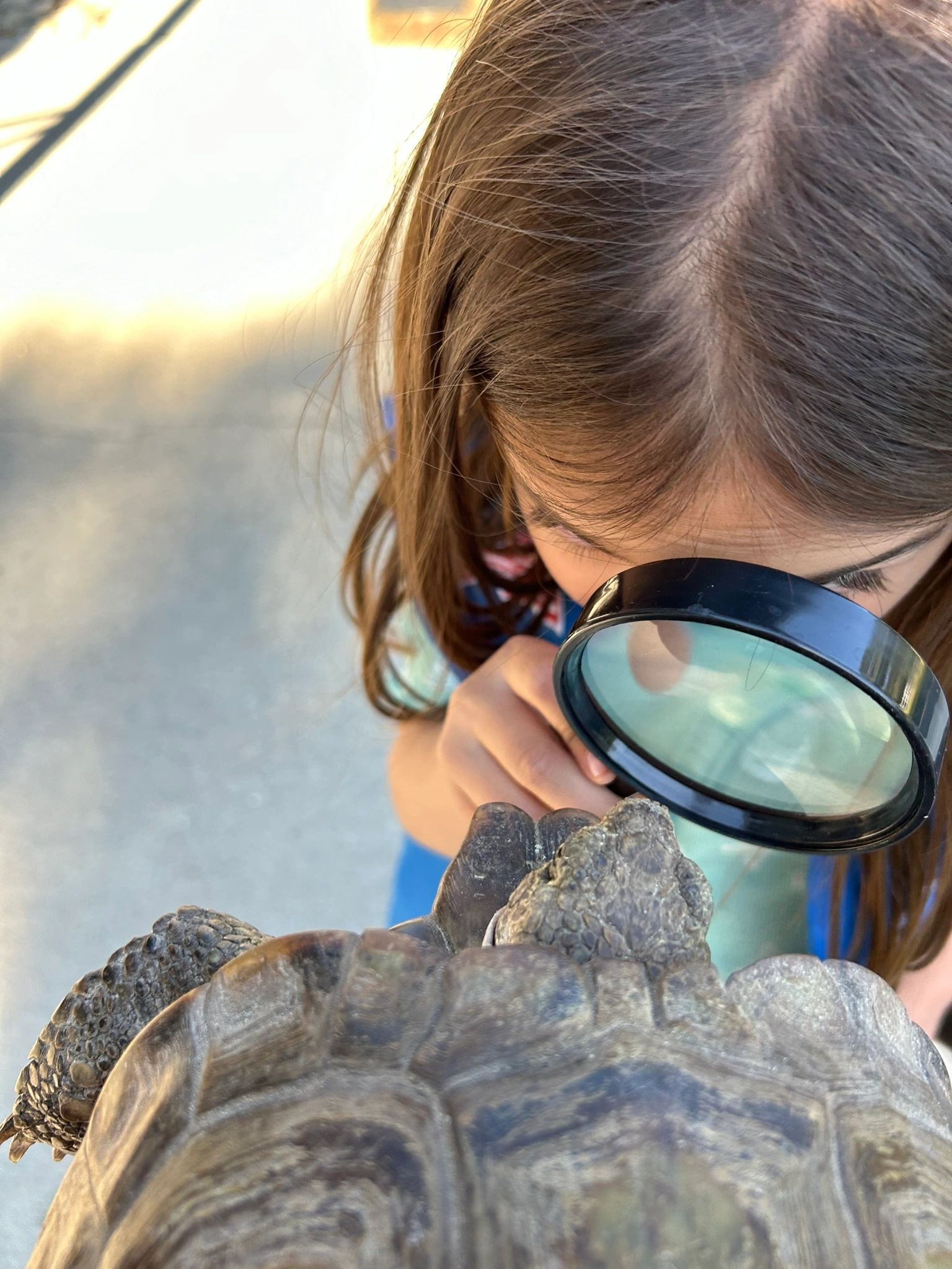 Nature Connect - Link to the Wild, Conservation Education, Education ...