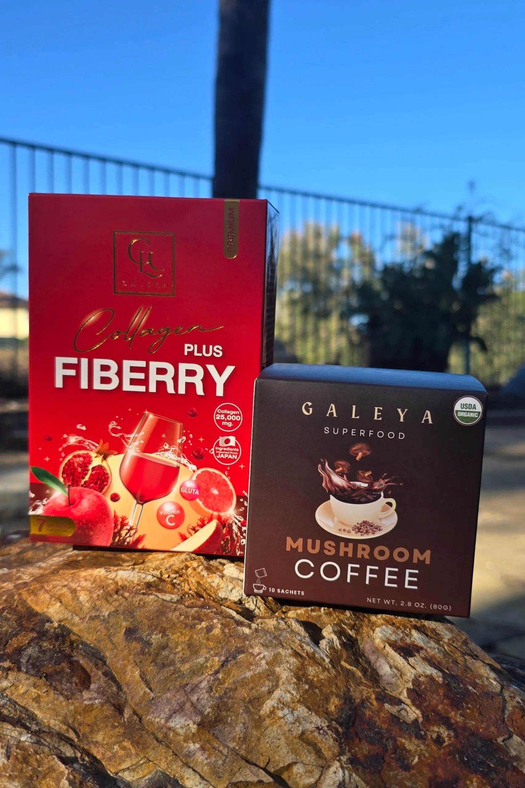 G a l e y a - Organic Mushroom Coffee with Collagen