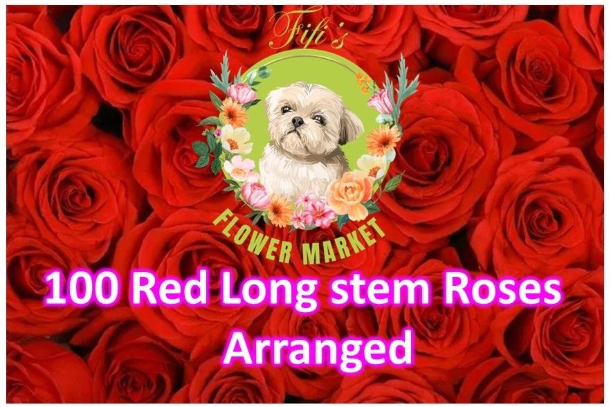 Valentines 100 Long Red Stem Roses Arranged.
