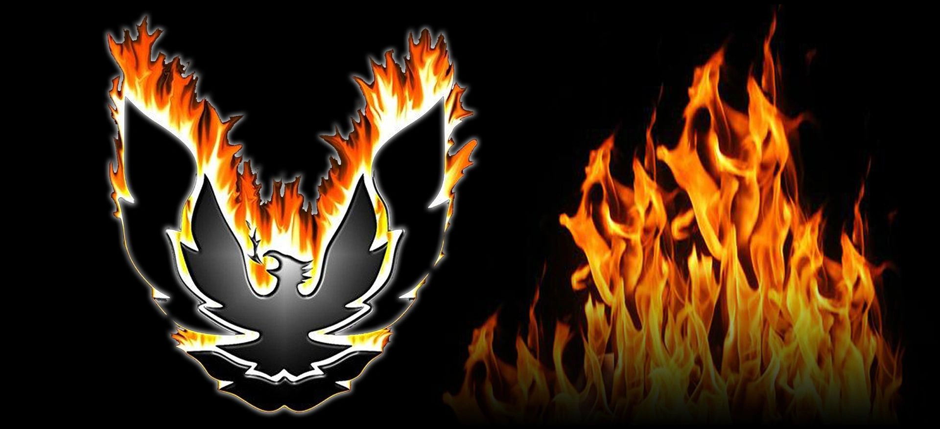 Signage Solutions - PHOENIX SIGNS & GRAPHICS