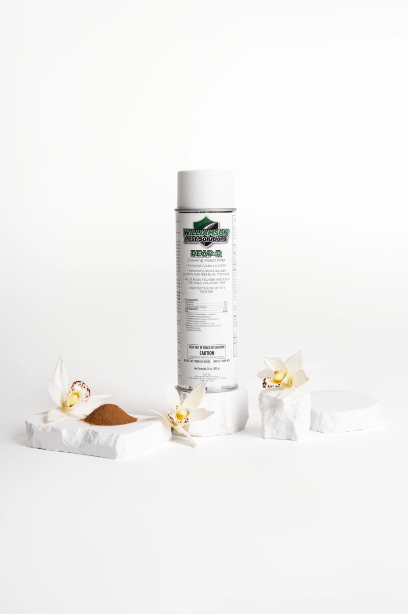 REAP-R - Vanilla Scented Crawling Insect Killer Spray | 14 oz DIY ...