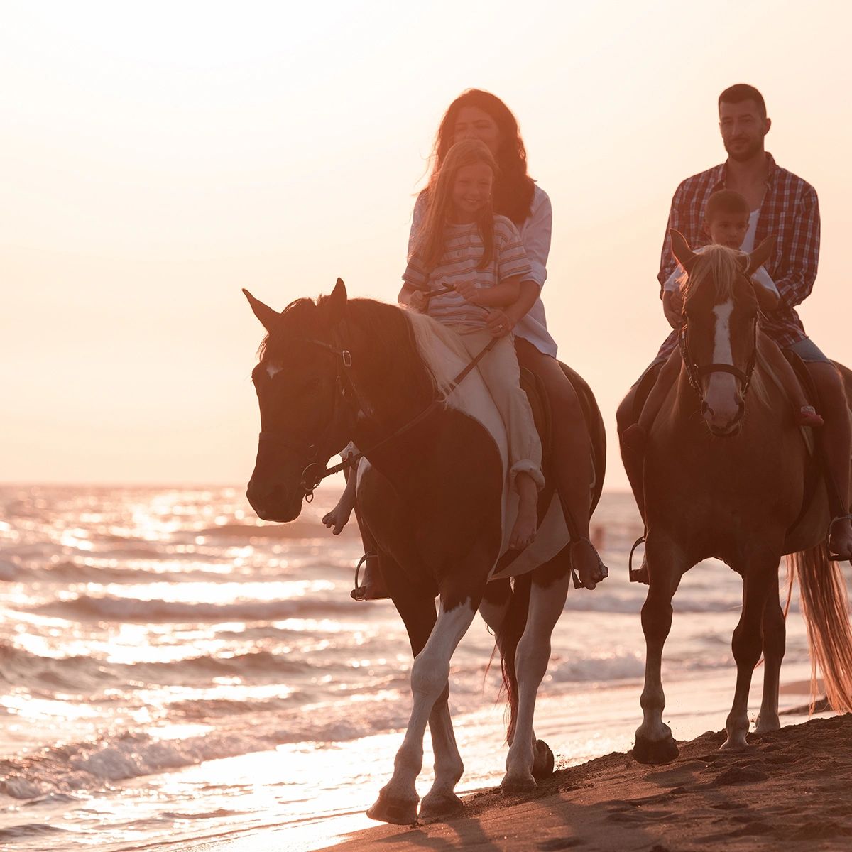 Horseback Riding | Horse Riding | Riding Horses