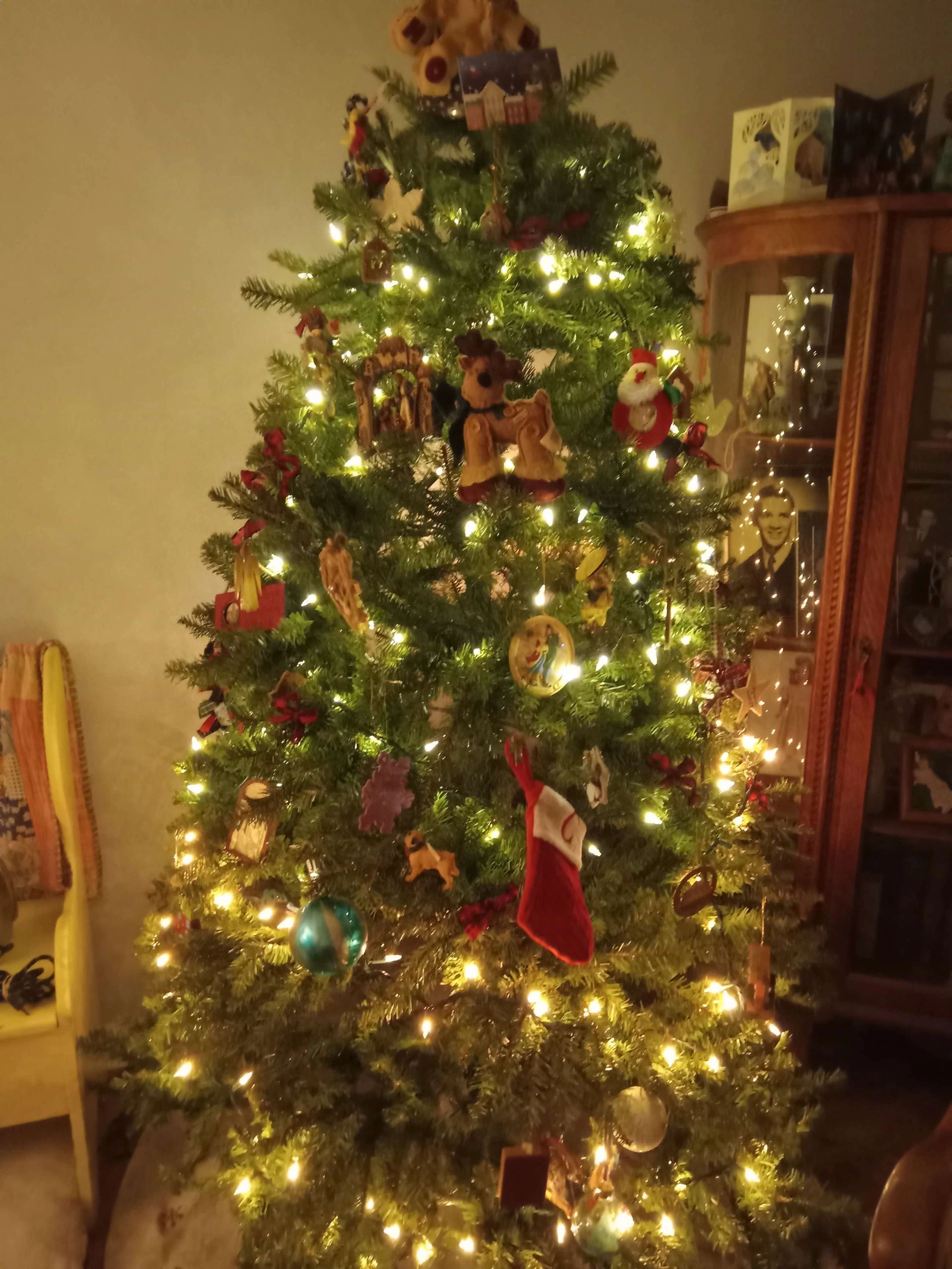 Blogs - Anna's Page.