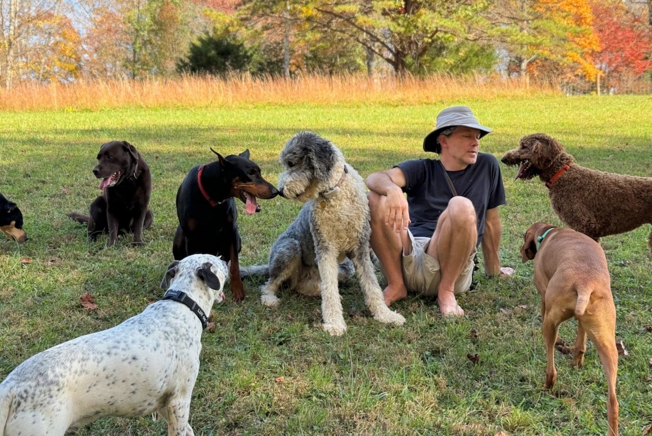 Dog Daycare and Dog Boarding | Happy Hound K9 Social Club