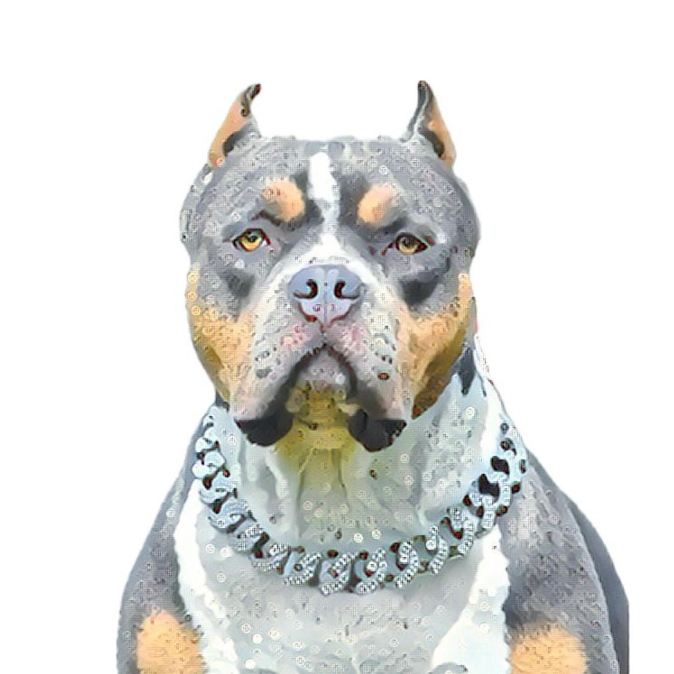 XL American Bully: A Comparison with Similar Breeds