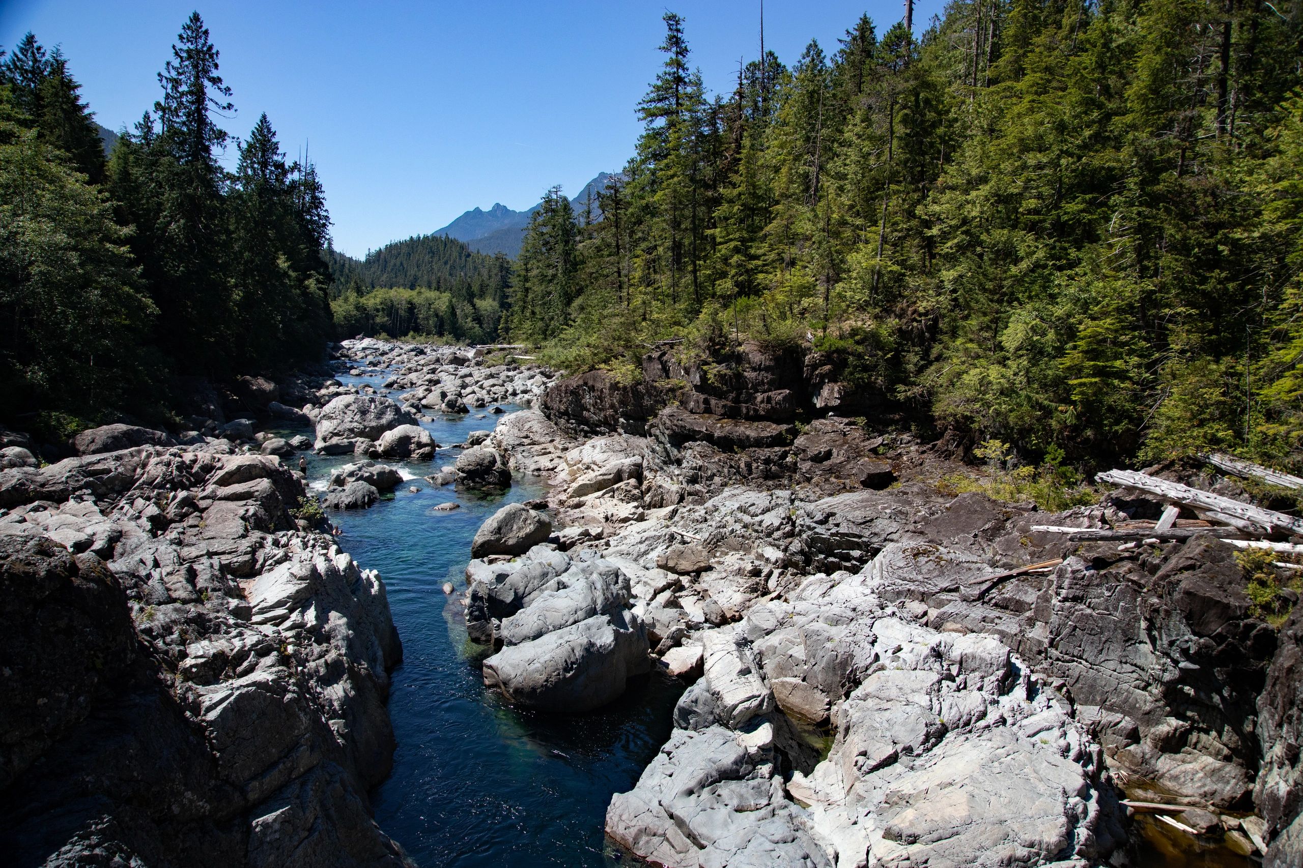 One Two Three Click Photography