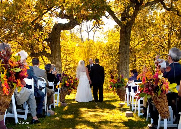 Olson Photography- David C. Olson Photography - Rockford Illinois ...