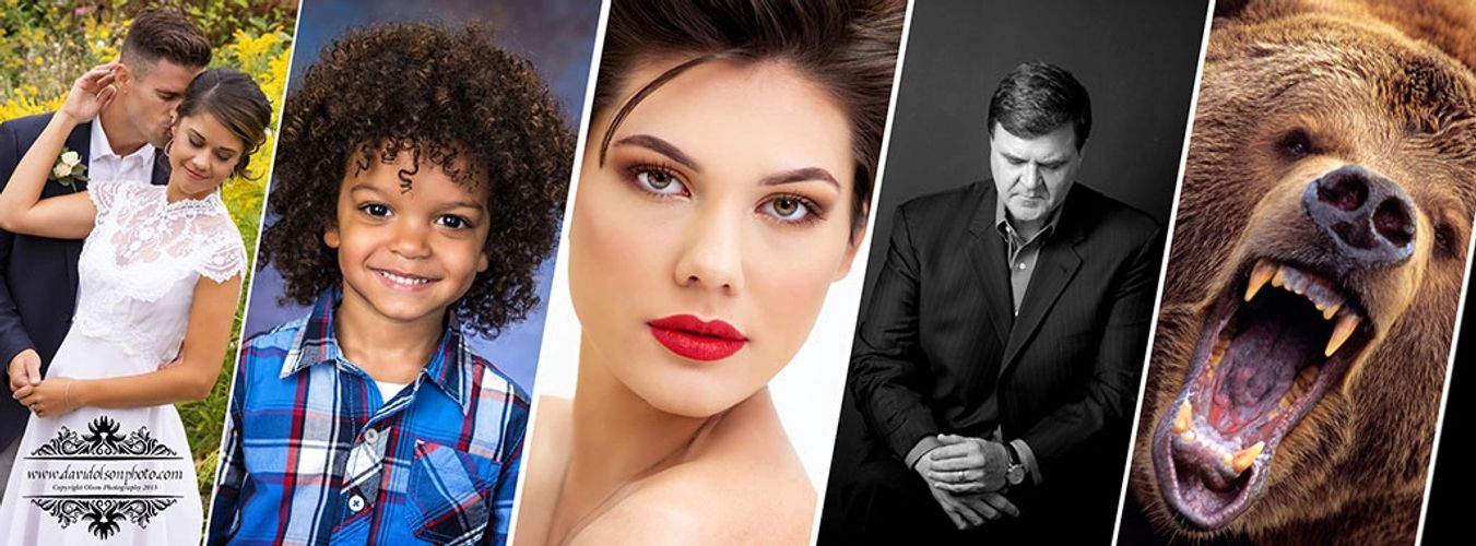 Olson Photography- David C. Olson Photography - Rockford Illinois ...