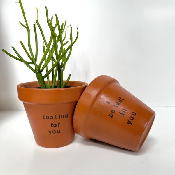 About | Refined Roots