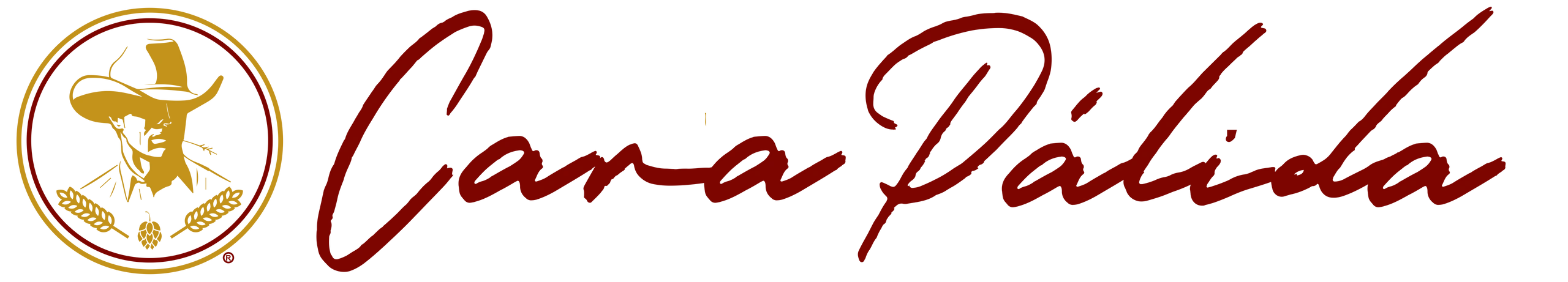 cerveceriacarapalida.com