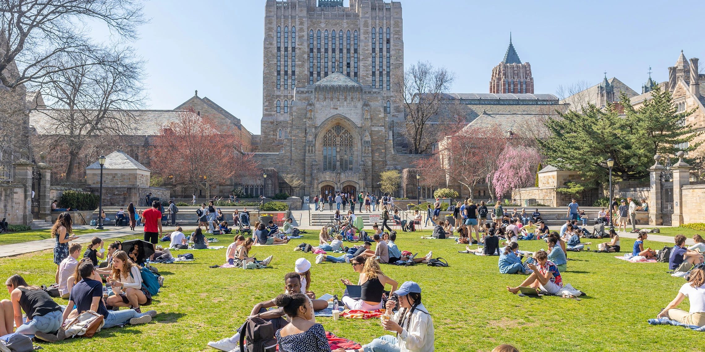 Yale SOM MBA Deadlines and Essay Tips 2024-2025 Yale SOM MBA Deadlines and Essay Tips 2024-2025