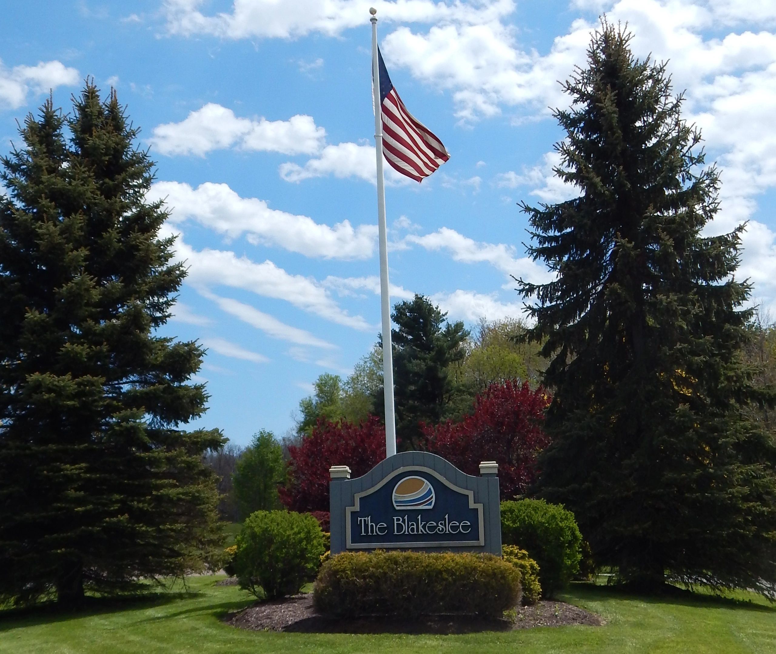 About | Blakeslee