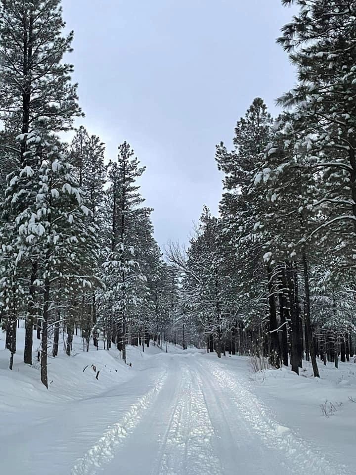 High Country Pines Unit I - Heber, Arizona