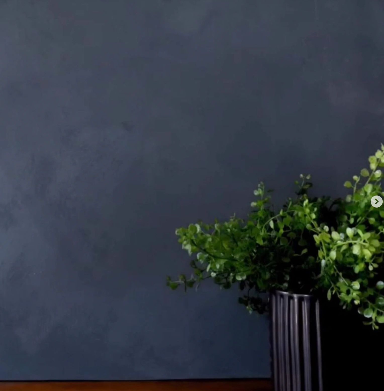 Experts in Limewash Painting Services