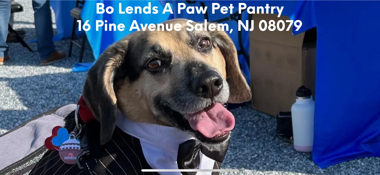 Bo Lends A Paw Pet Pantry Bo Lends A Paw Pet Pantry