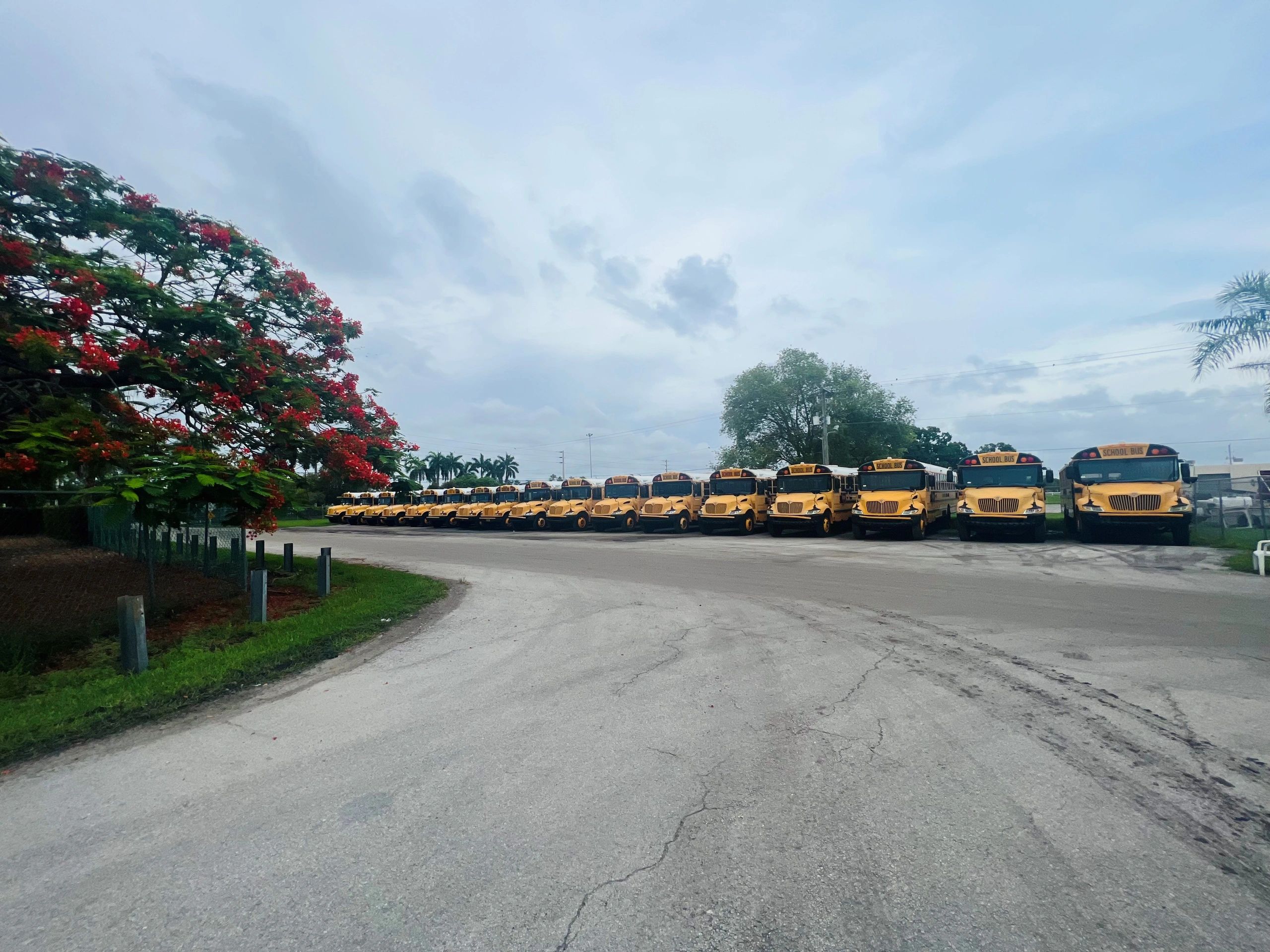 HOME [alwaysonthegobuses.com]