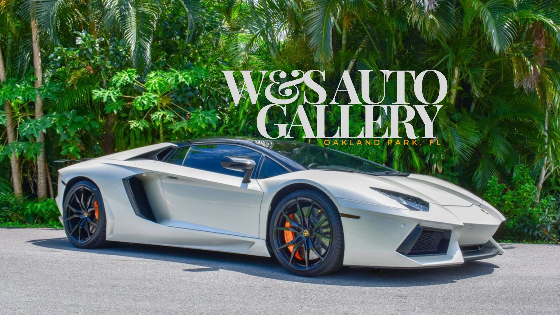 W&S Auto Gallery