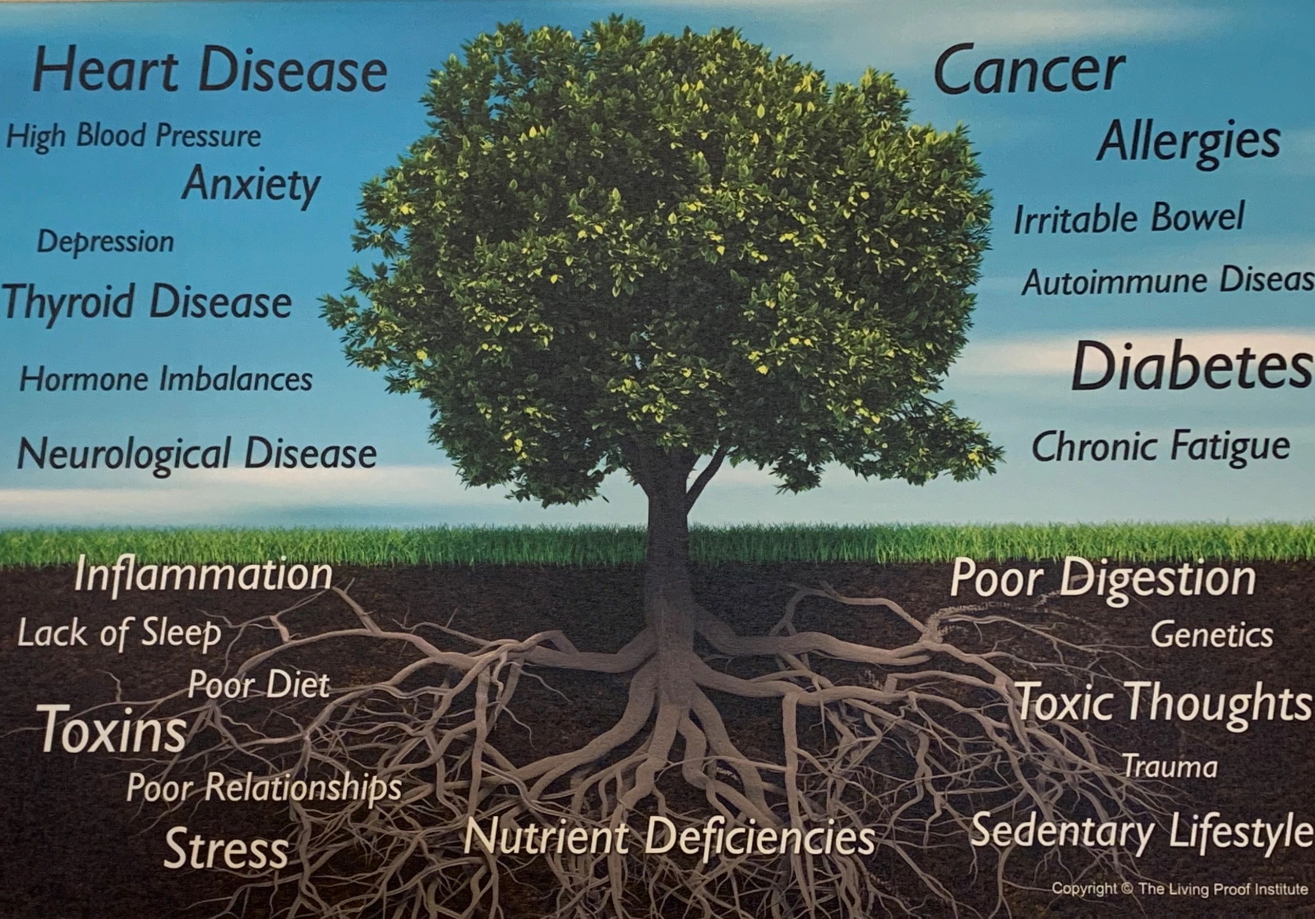 Nutrition and Weight Loss Center of Ocean