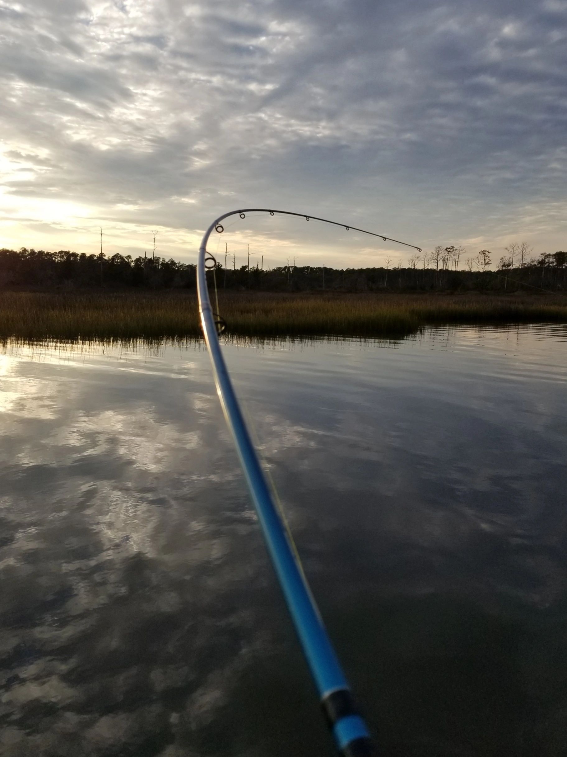 Toad Fish Mafia Fishing Team - Home