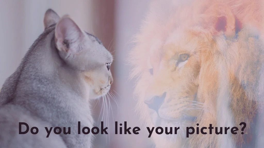 Do You Look Like Your Picture?