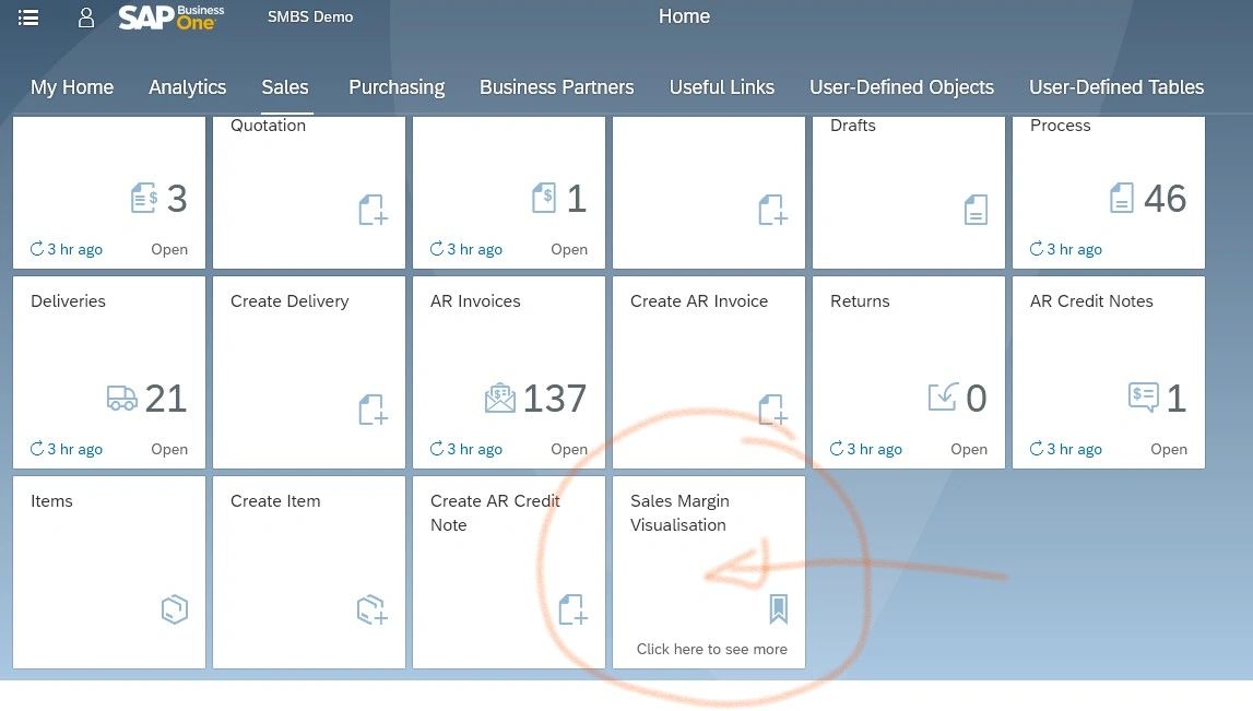 Analytics in SAP Web Client, just DIY No SDK, No Programming