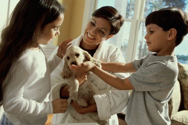Happy Hounds Dog Training in Denver, Colorado