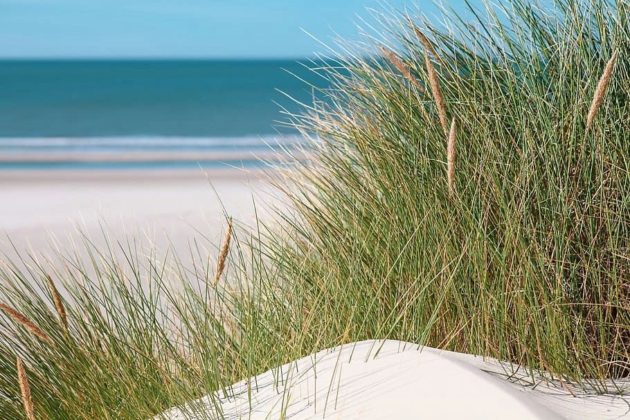 The Bama Beach Club | The Bama Beach Club