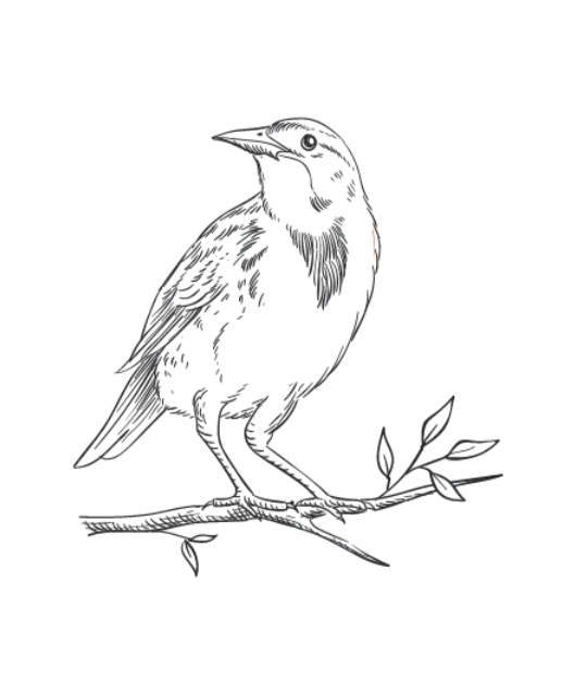 Postpartum Therapy at Meadowlark Clinic