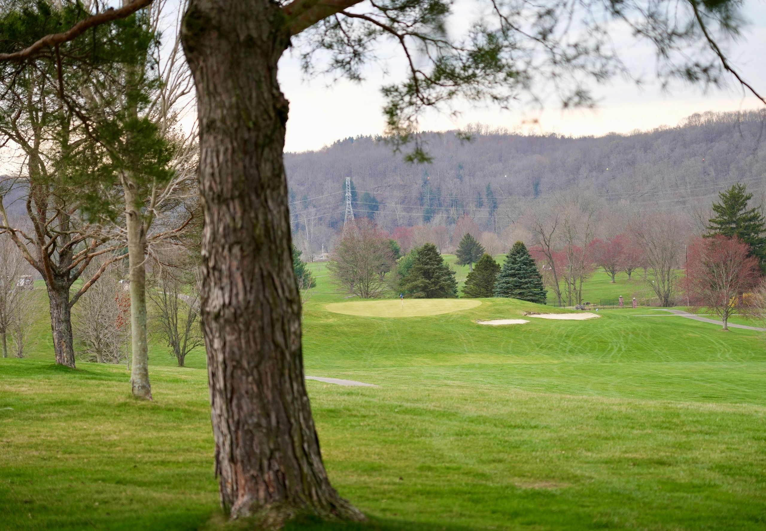Join our Golf Club for Exclusive Membership Benefits