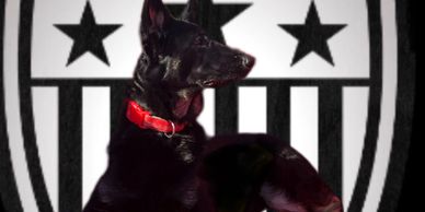 Brawner Group K-9 - 3pk9, Avsec, Icao