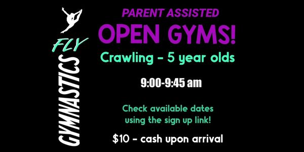 Fly Gymnastics - Home