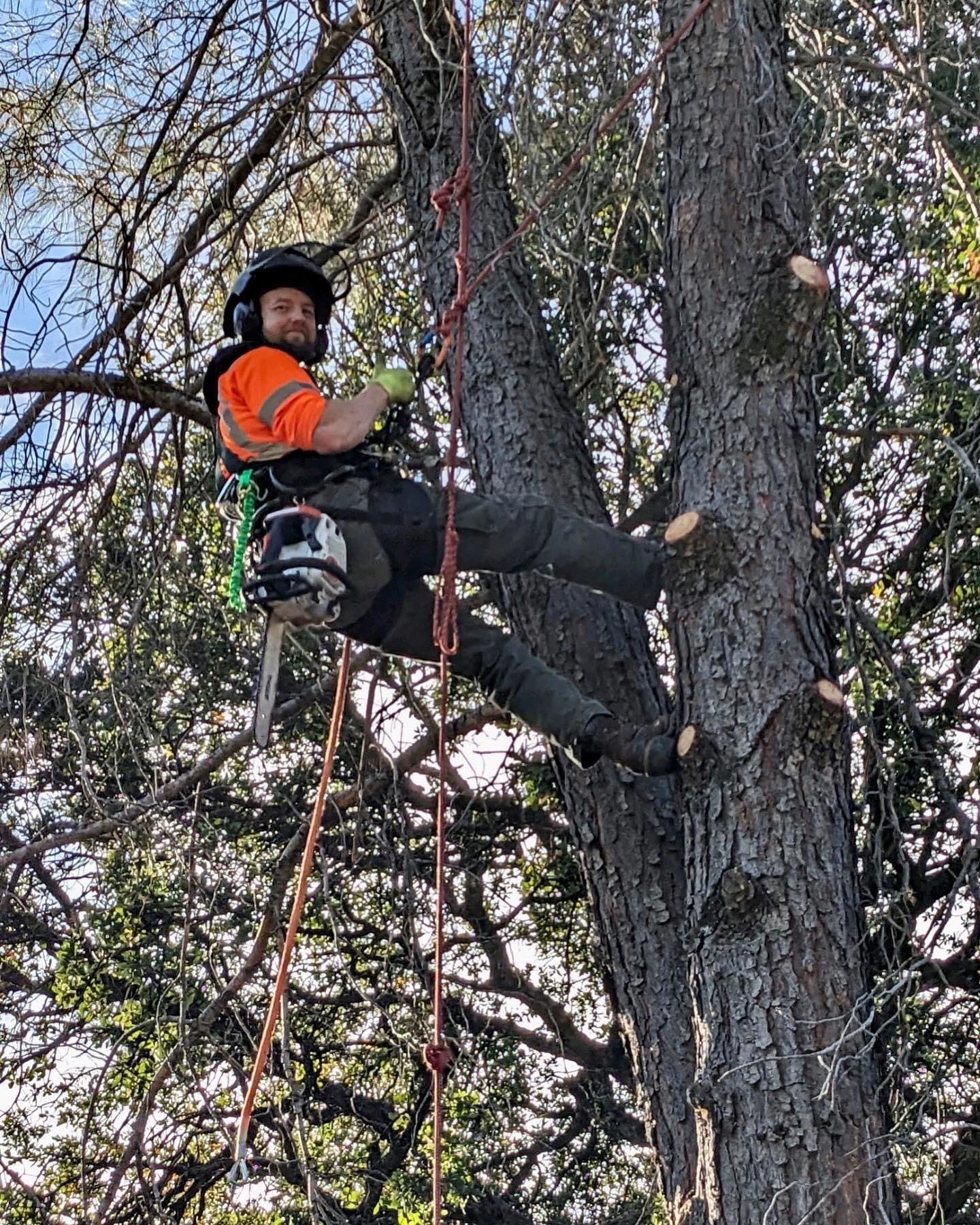Bark and Bight Tree Works