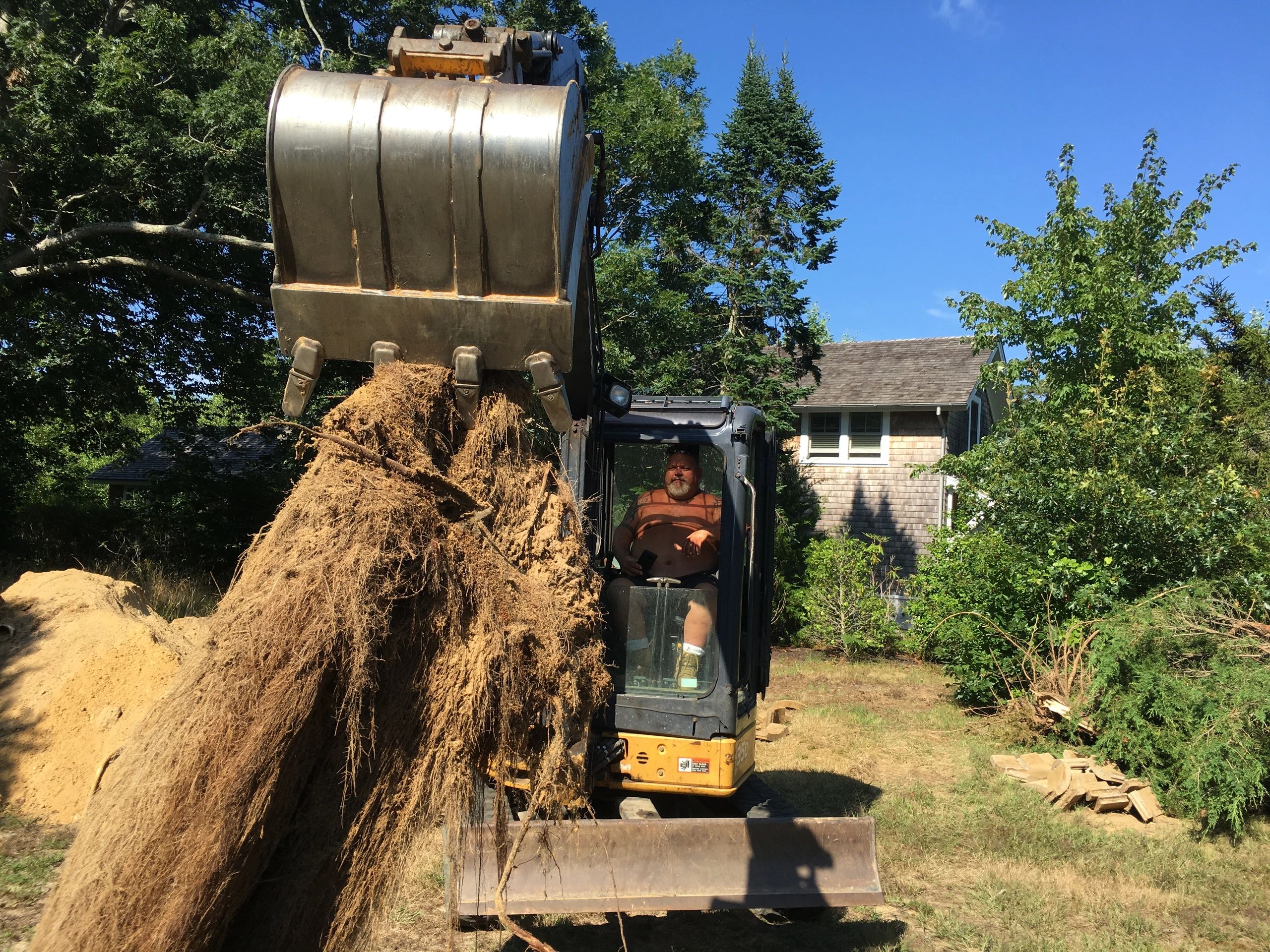 Massive Root Removal 