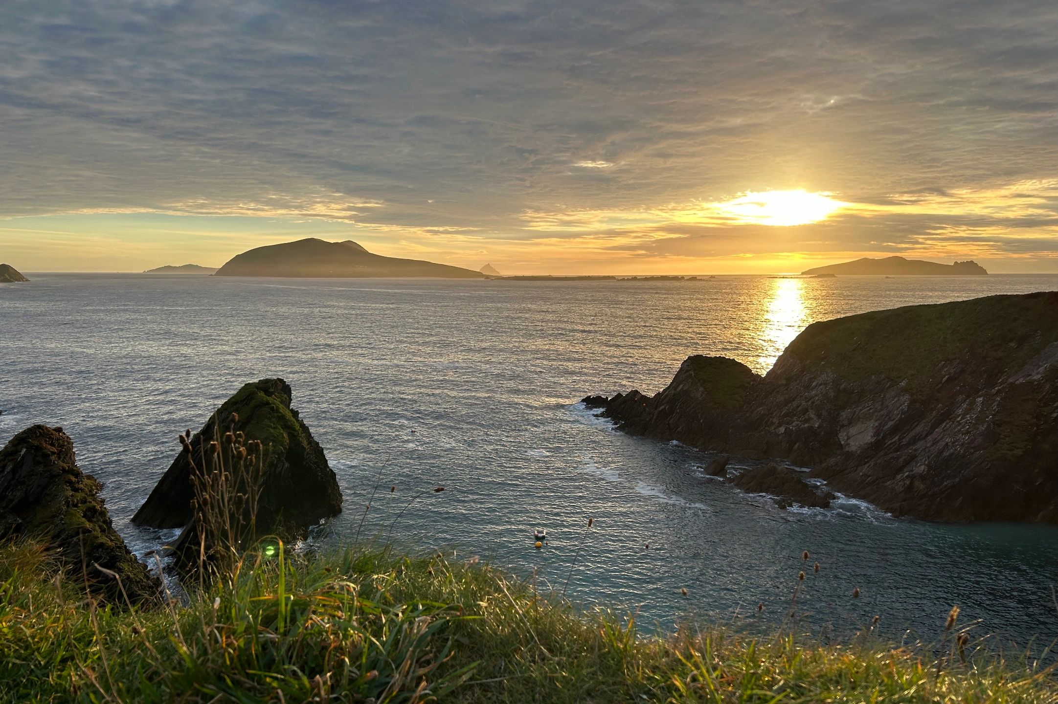 Everywhere She Wanders