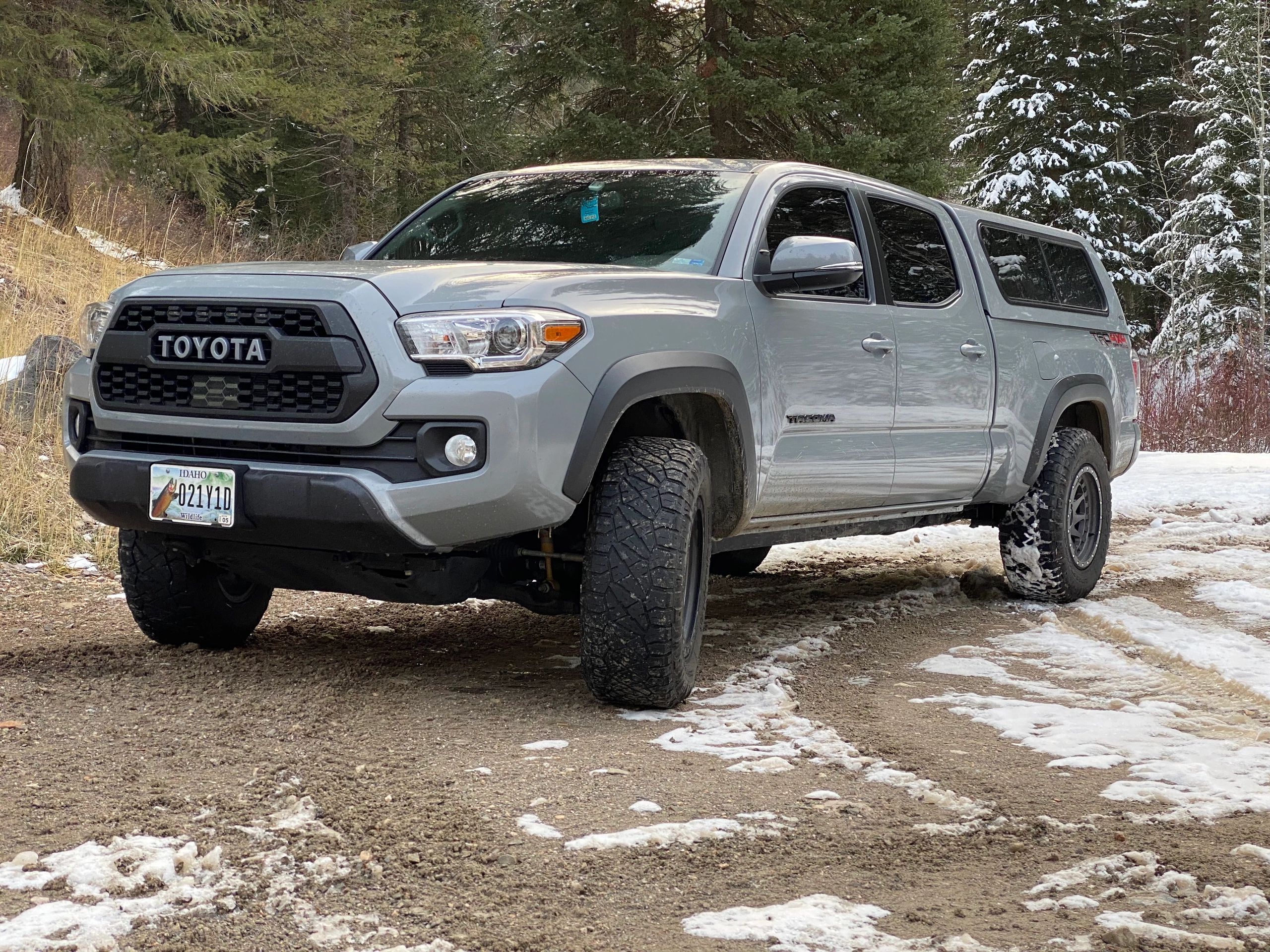 Sawtooth Performance