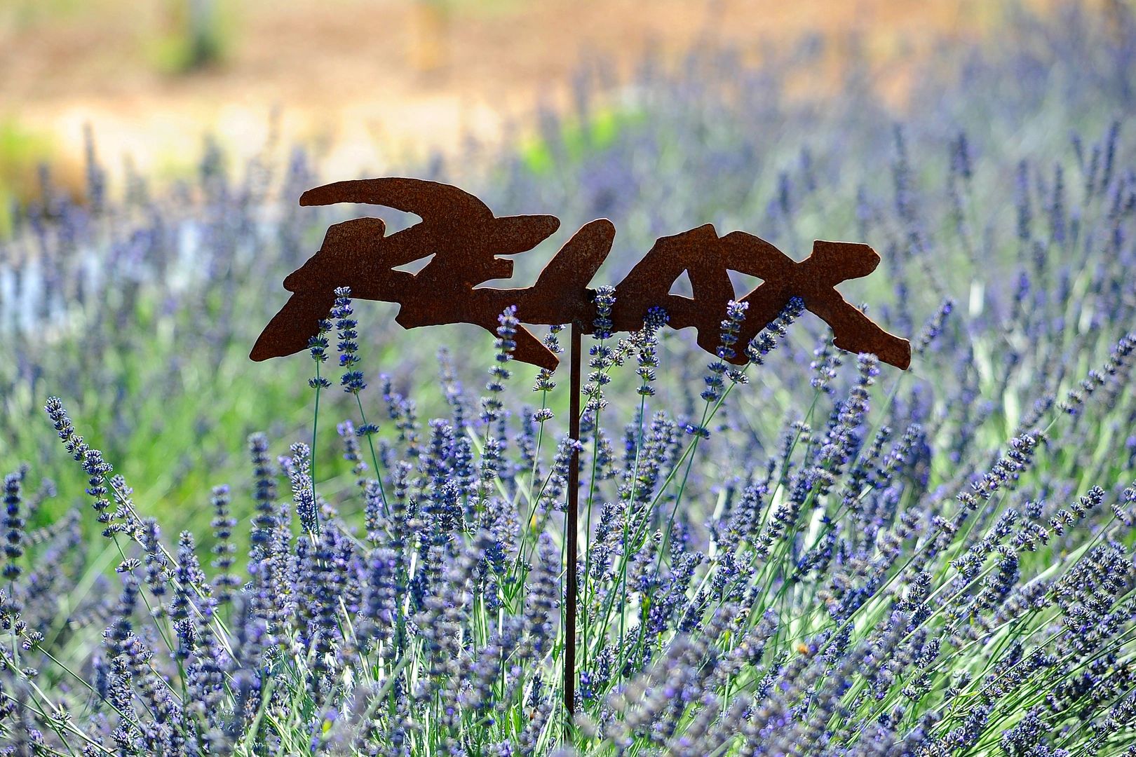 Bluestone Meadow