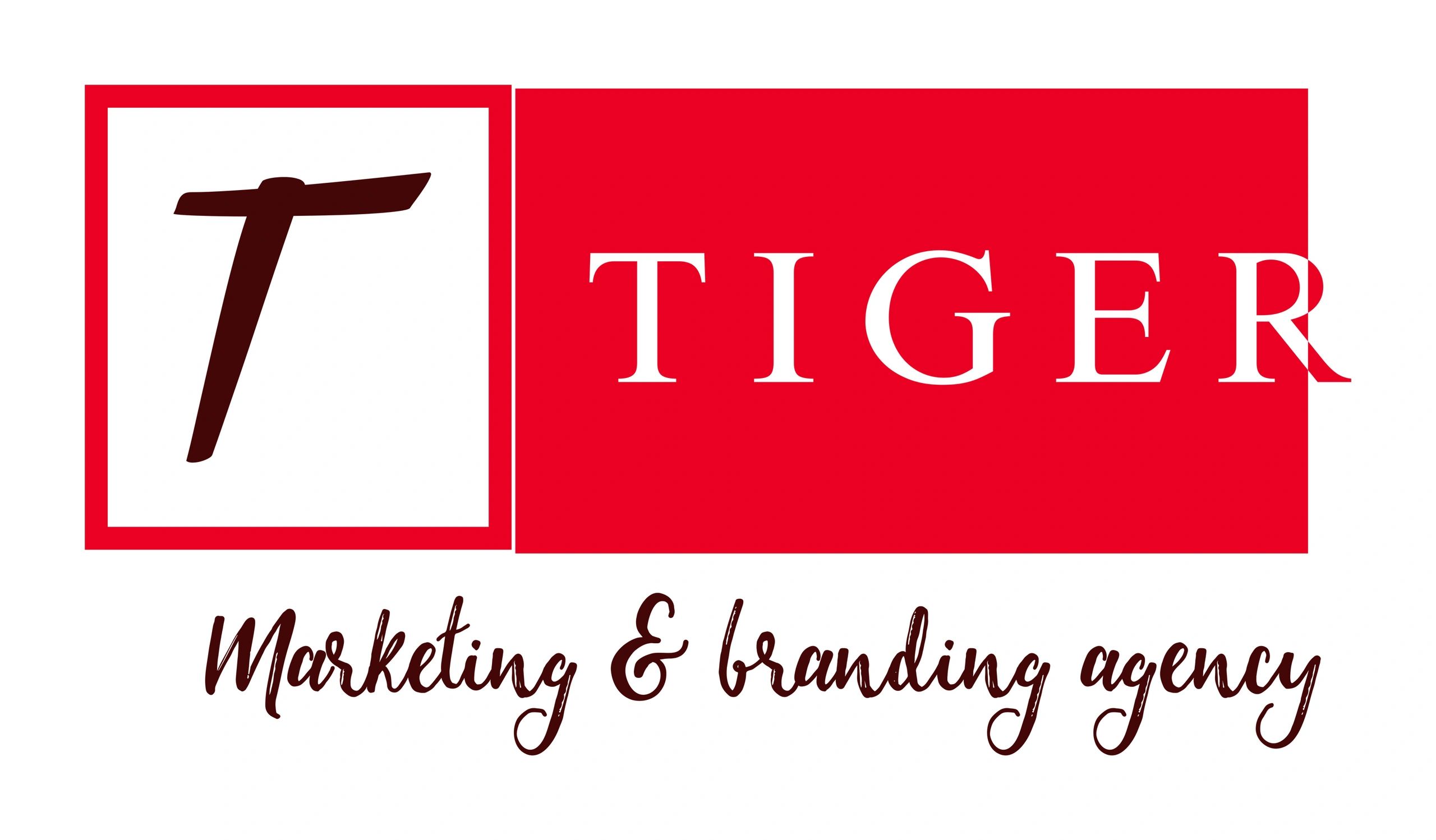 Tiger Global Management Partners