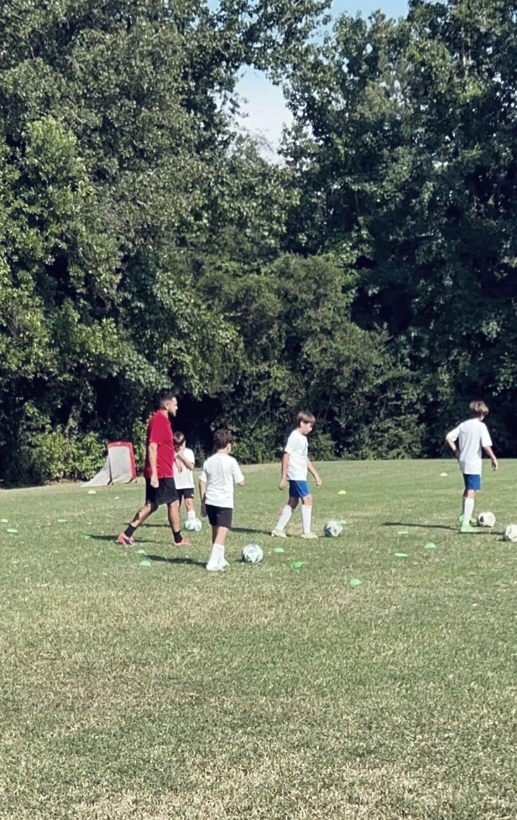 Home [woodlandsfutbolclub.com]